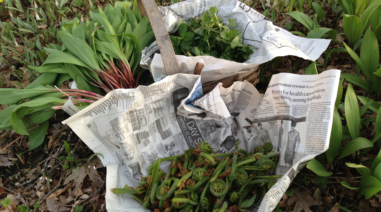 Learning to Forage in Minnesota - Root River Current
