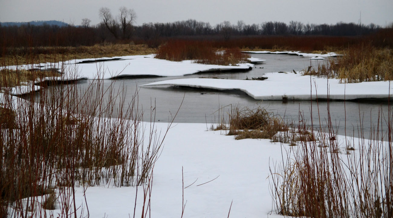 Essay | Spring Rising - Root River Current