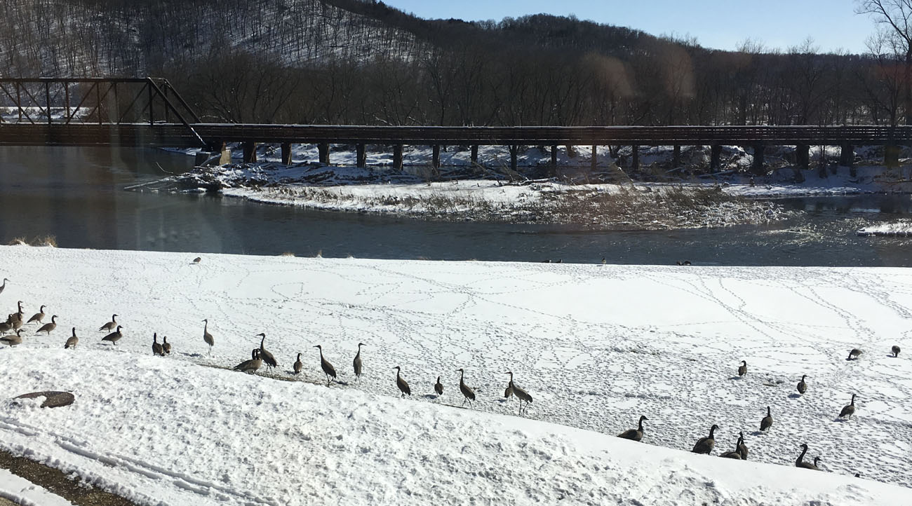 Winter Thaw - Root River Current