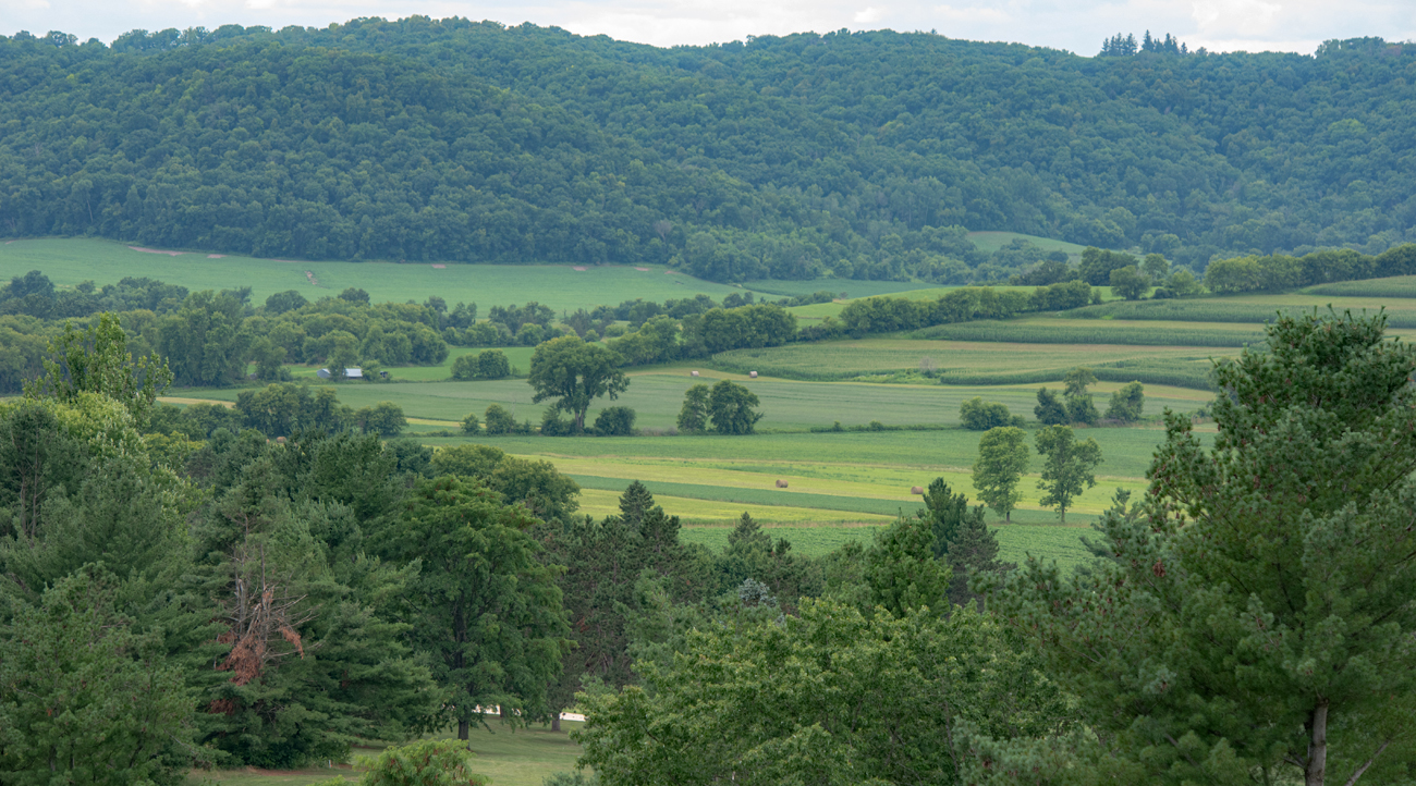 Mound Prairie is a Refuge for Rare Native Plants - Root River Current