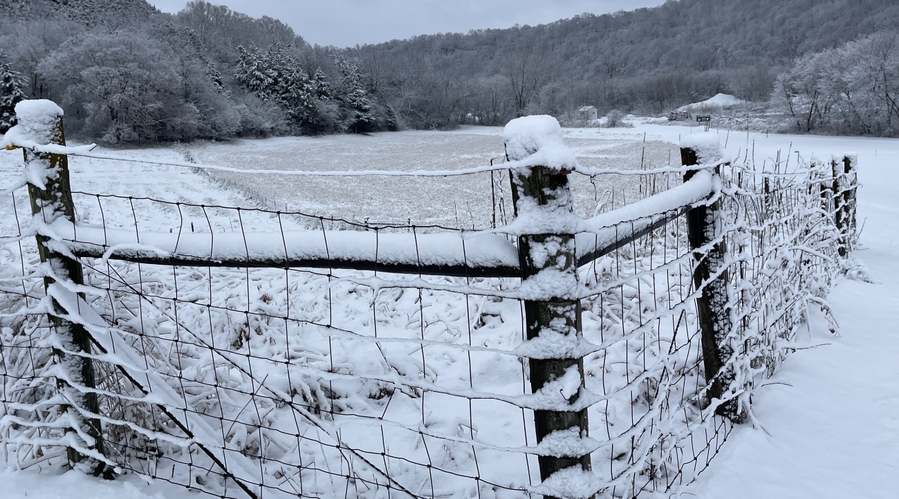 Seasonal Photo - Root River Current