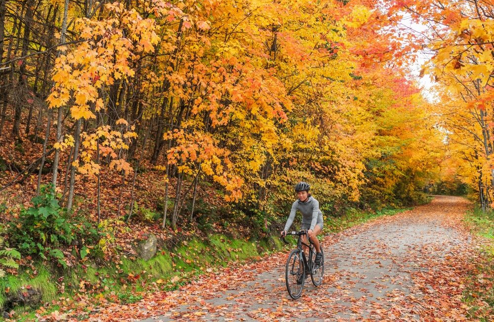 Whalan’s Fall Finale - Root River Current