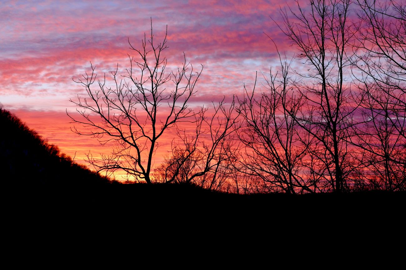 Root River Winter Hues - Root River Current
